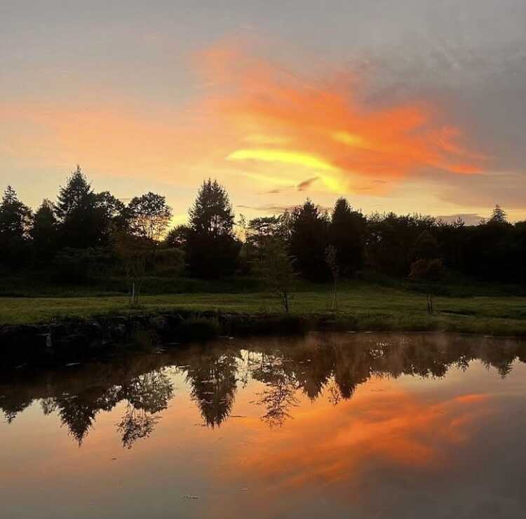 天空の庭 天馬夢-AMAMU- 茨城フリーサイトキャンプ場 | キャンプ場検索・予約サイト【なっぷ】